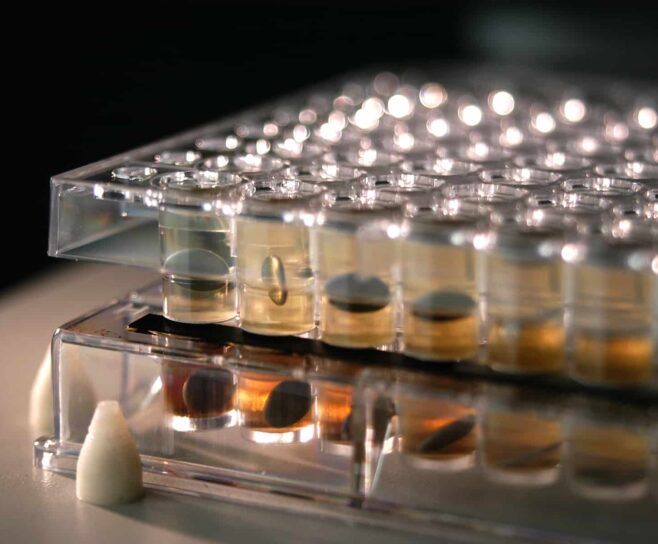 PION - Gulf Scientific Corporation