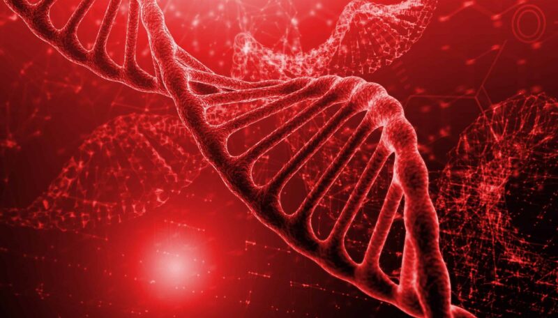 DNA Script – Gulf Scientific Corporation